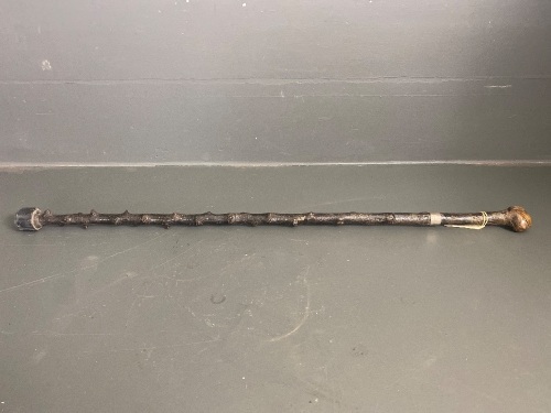 Irish Sheleighly Walking Stick H.M.S.S Collar Birmingham 1874