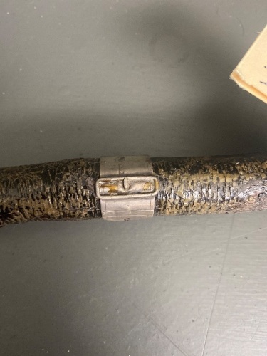 Irish Sheleighly Walking Stick H.M.S.S Collar Birmingham 1874